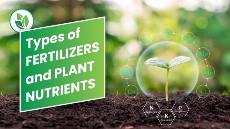 Types of Fertilizers and Plant Nutrients- khetigaadi blog