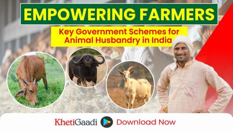 Support for Farmers: Animal Husbandry Govt Schemes in India