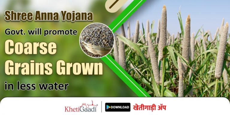 Shree Anna Yojana: Govt. will promote coarse grains grown in less water