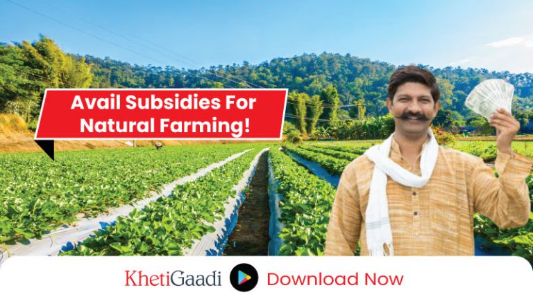 Natural Farming: Three-Year Subsidy Scheme Unveiled
