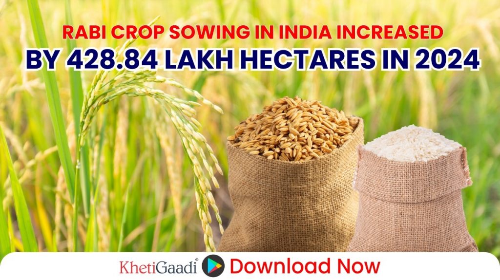 Rabi Crop Sowing Crosses 428 Lakh Hectares in 2024-25 Season